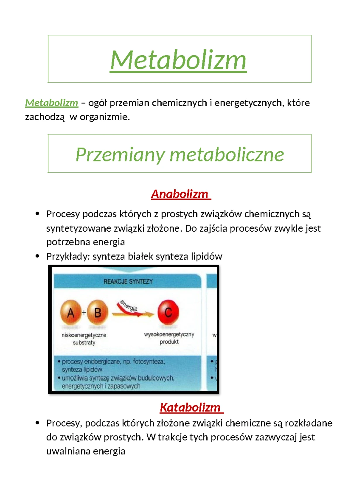 Rośliny okrytonasienne - charakterystyka, cykl rozwojowy i podział ...