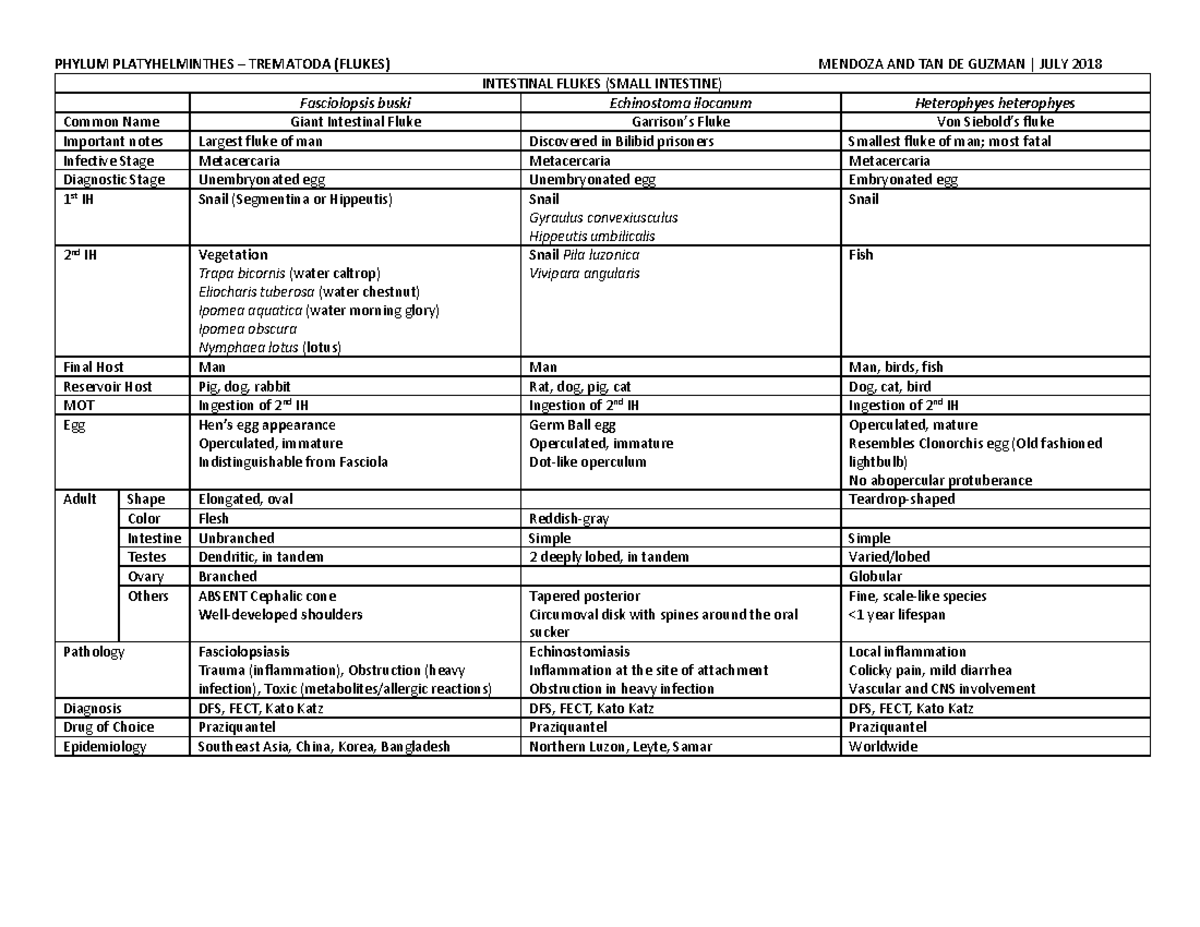Trematodes-1 - Parasitology - INTESTINAL FLUKES (SMALL INTESTINE ...