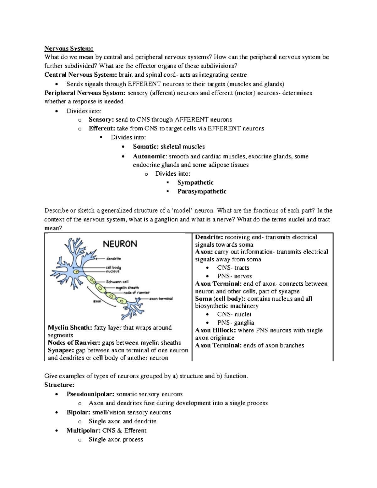 BIOL273 Unit 2 Nervous System Review Notes and Key Concepts - Studocu