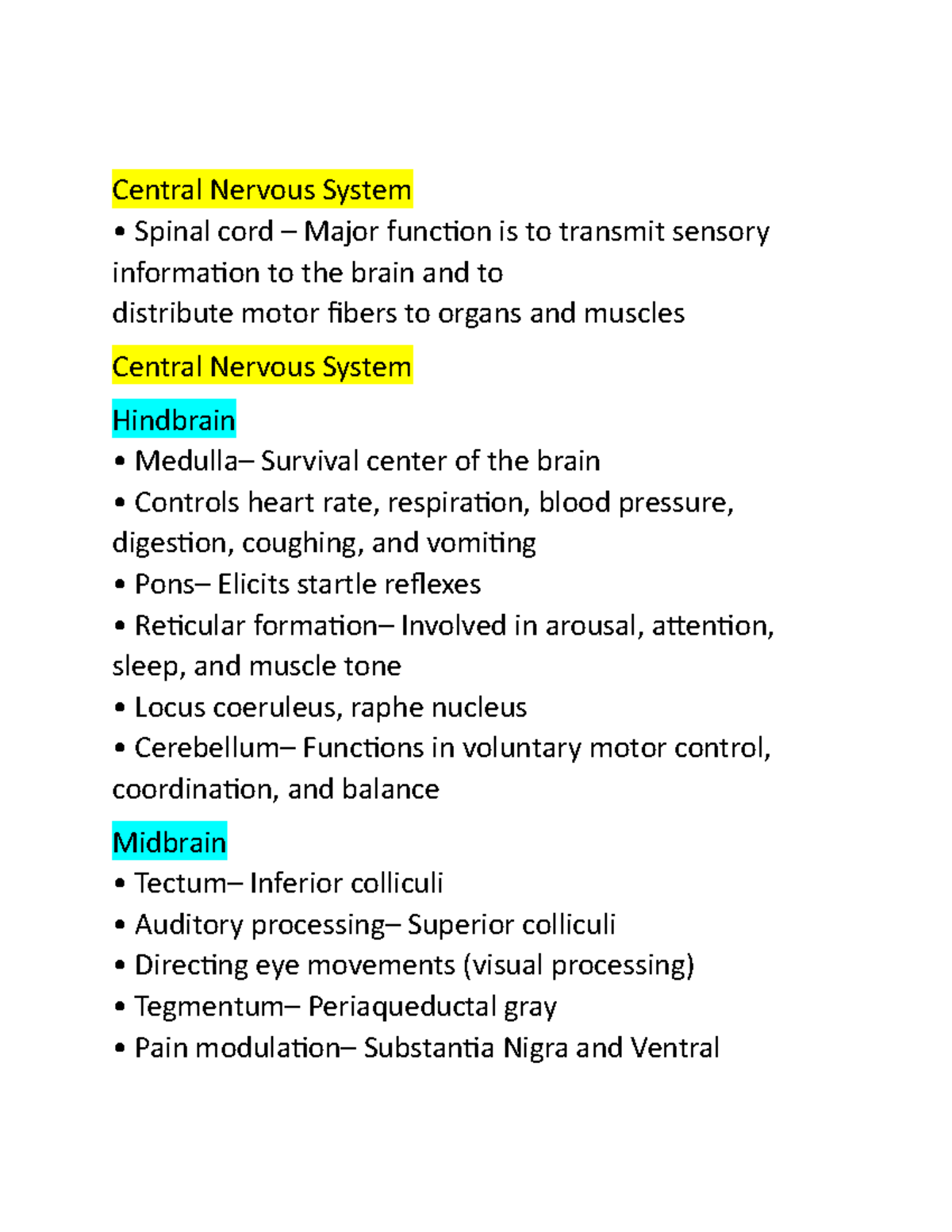 Psych 2: Overview of the Central Nervous System and Its Components ...