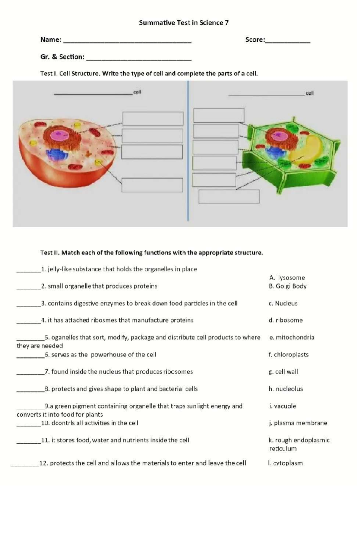 Science 7 Summative Test: Cell Structure & Functions - Studocu