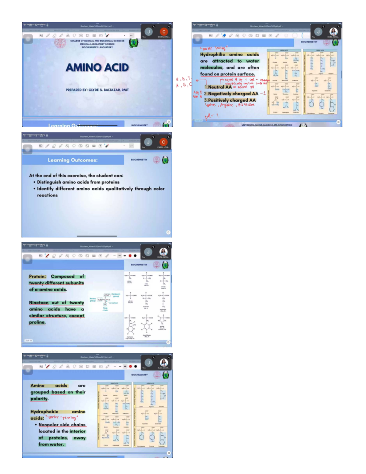 Amino Acids & Nucleic Acids: Biochemistry Lab Notes (BIOCHEM 101) - Studocu