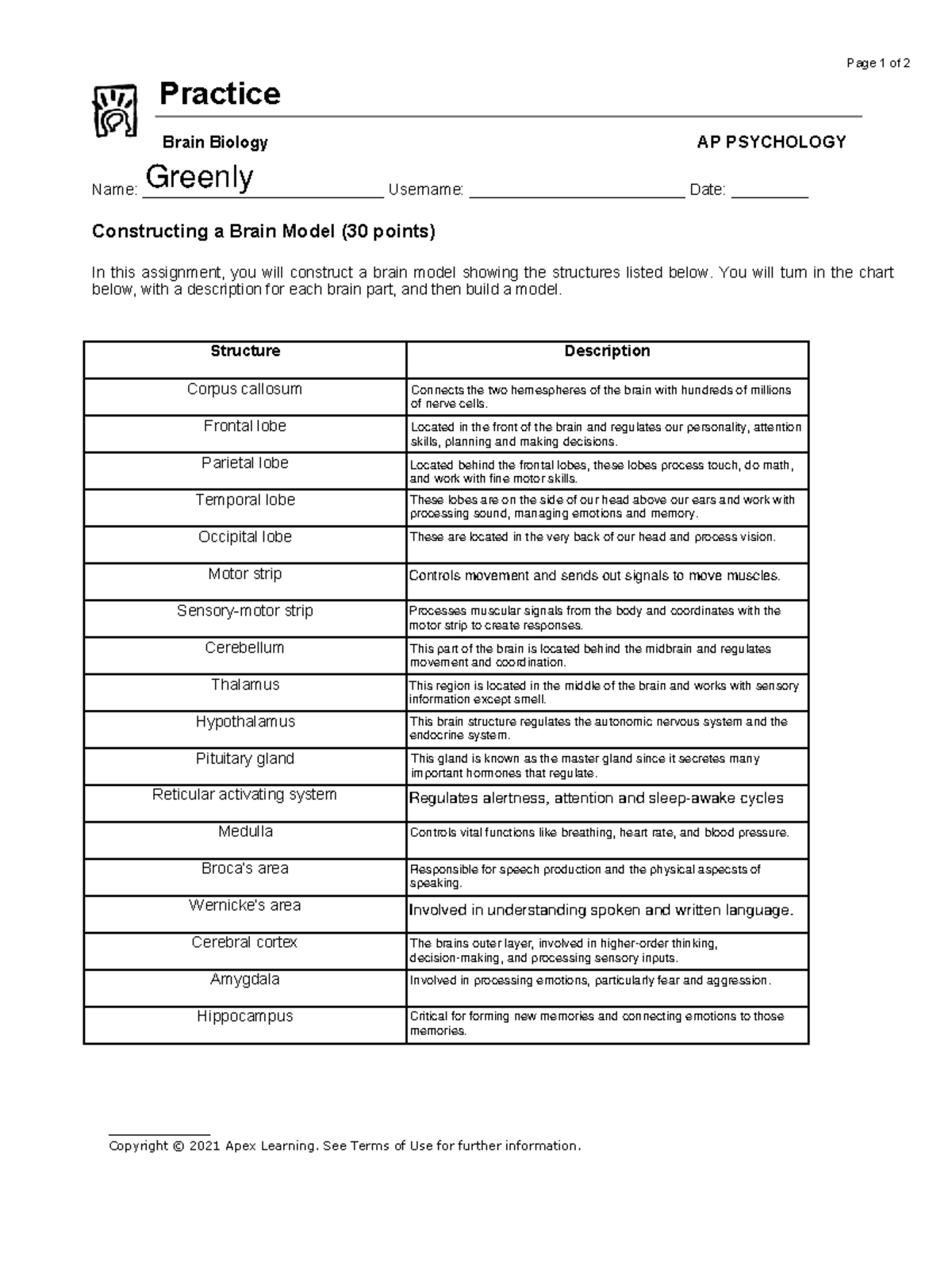Brain Model Assignment - AP Psychology (30 pts) - Studocu