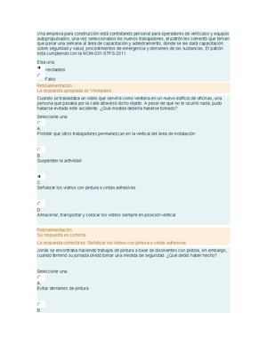 NOM-021-STPS-1994 - RELATIVA A LOS REQUERIMIENTOS Y INTEGRAR LAS ...