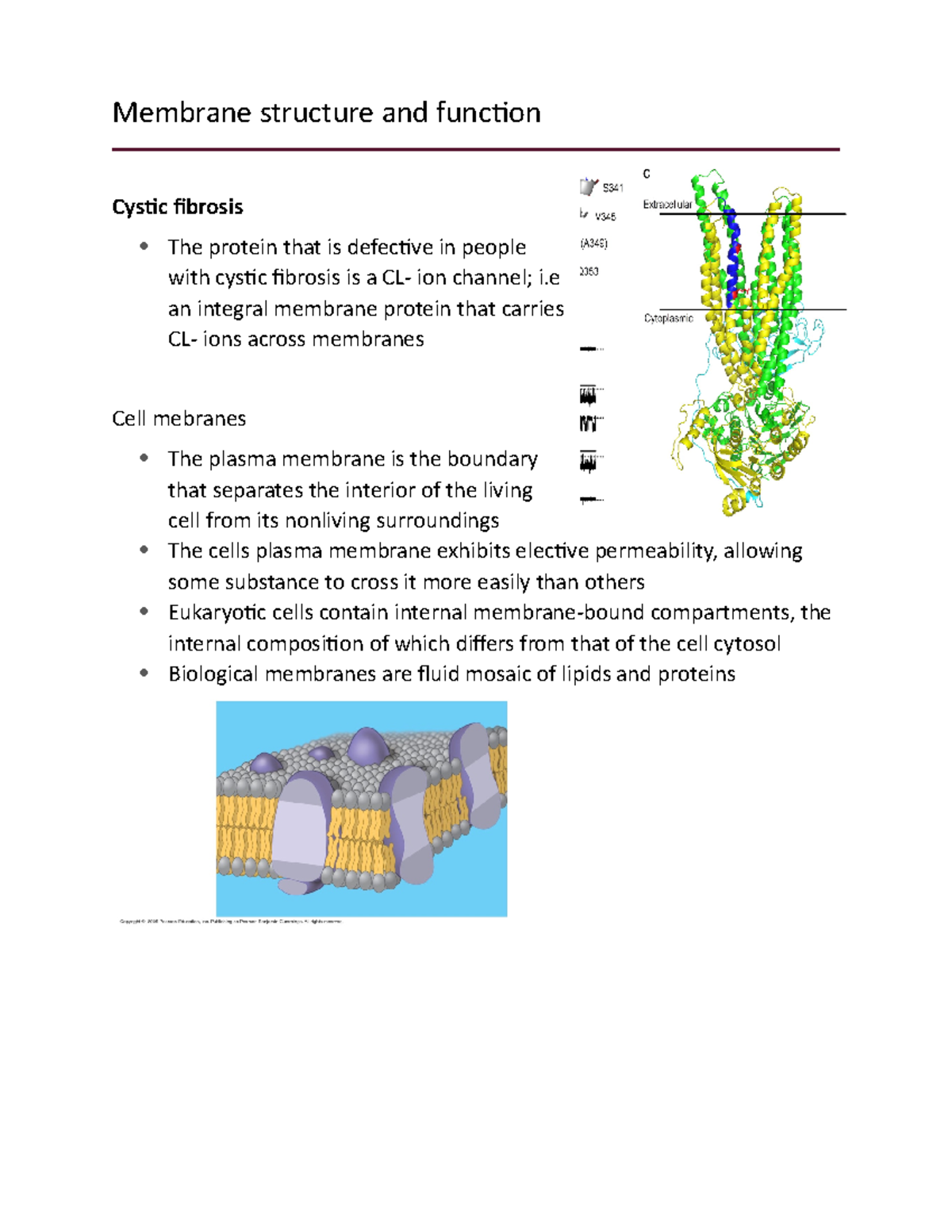 Membrane structure and function - Membrane structure and function Cystic fibrosis The protein ...