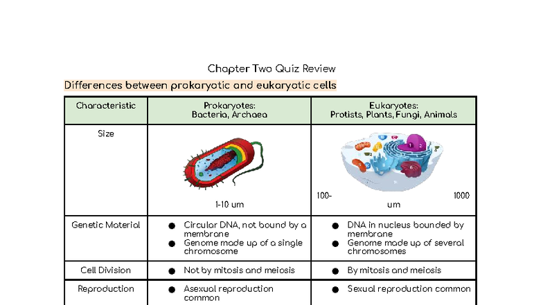 Chapter 2 Quiz Review: Prokaryotic vs Eukaryotic Cells - Studocu