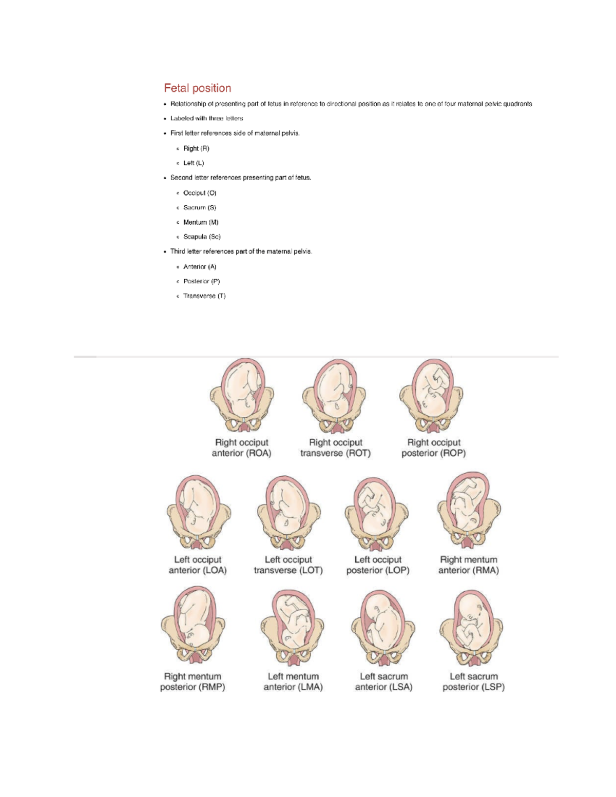 Untitled document-8 - Fetal position Relationship of presenting part of fetus in reference to ...