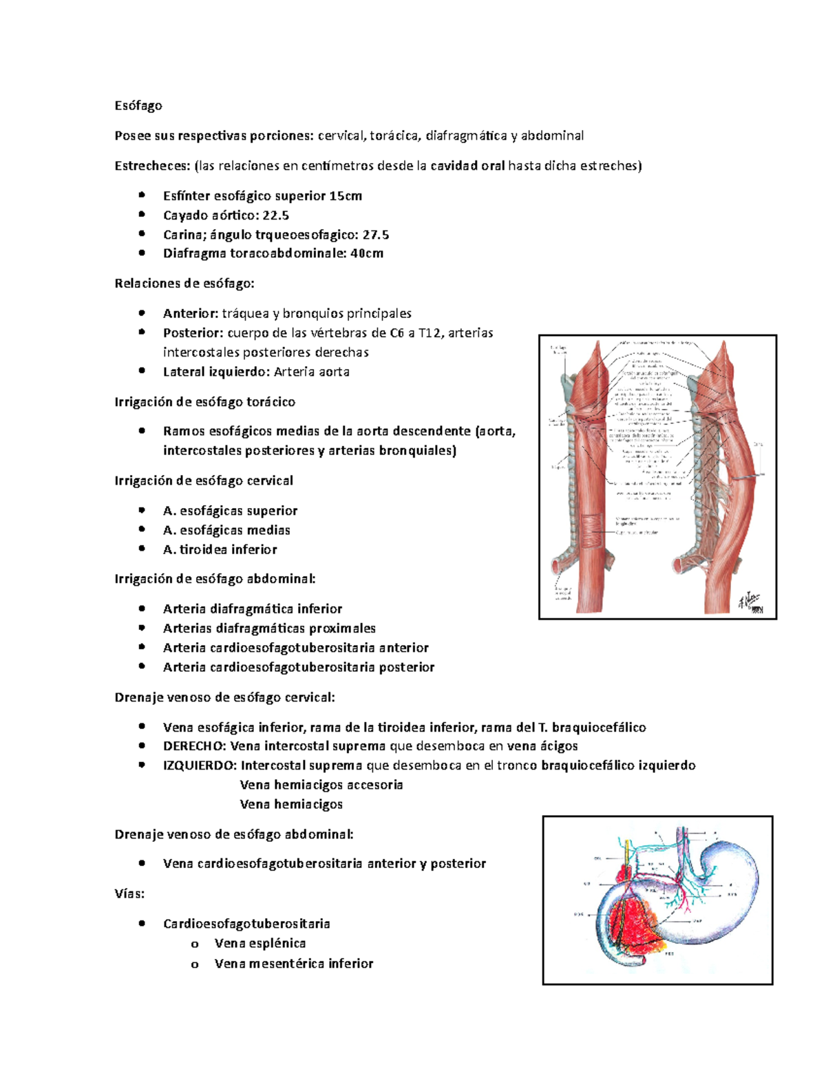 Resumen del Esófago: Anatomía y Drenaje Venoso - Latarjet - Studocu