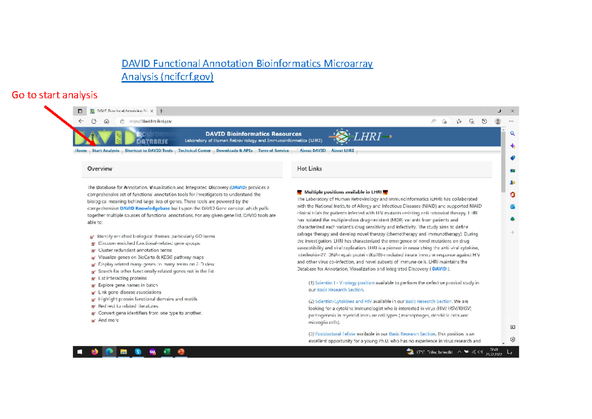 DAVID Functional Annotation Guide for Bioinformatics Analysis - Studocu
