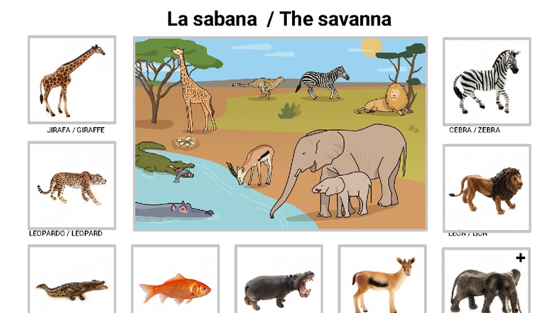 Vocabulario animales - Hábitats naturales En ingles - sociales - La ...