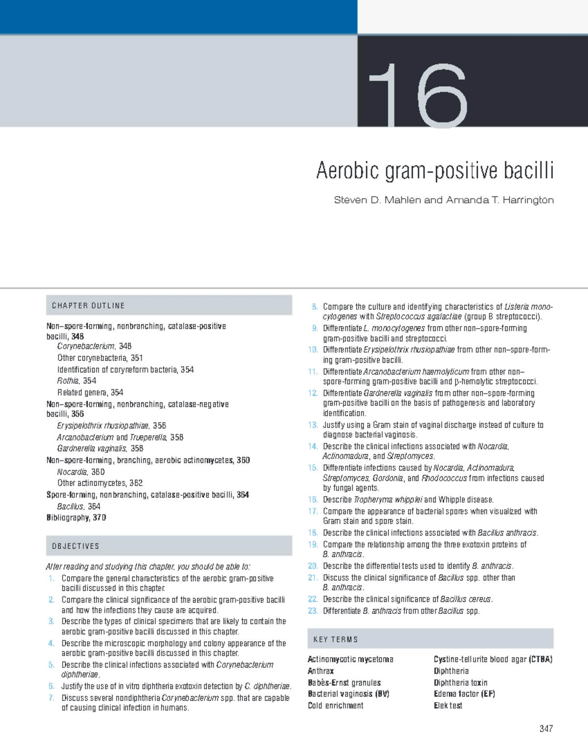16 Aerobic Bacilli: Characteristics, Infections, and Clinical ...
