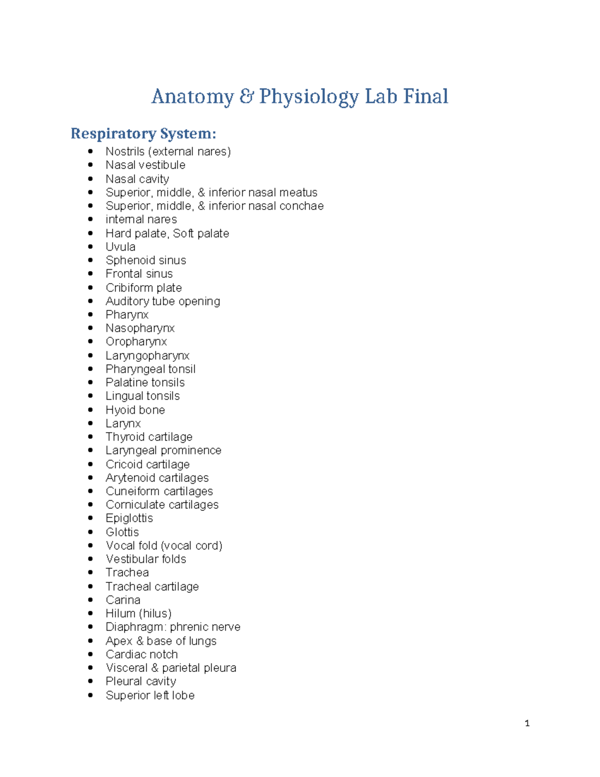 Lab List Final - lab list - Anatomy & Physiology Lab Final Respiratory ...