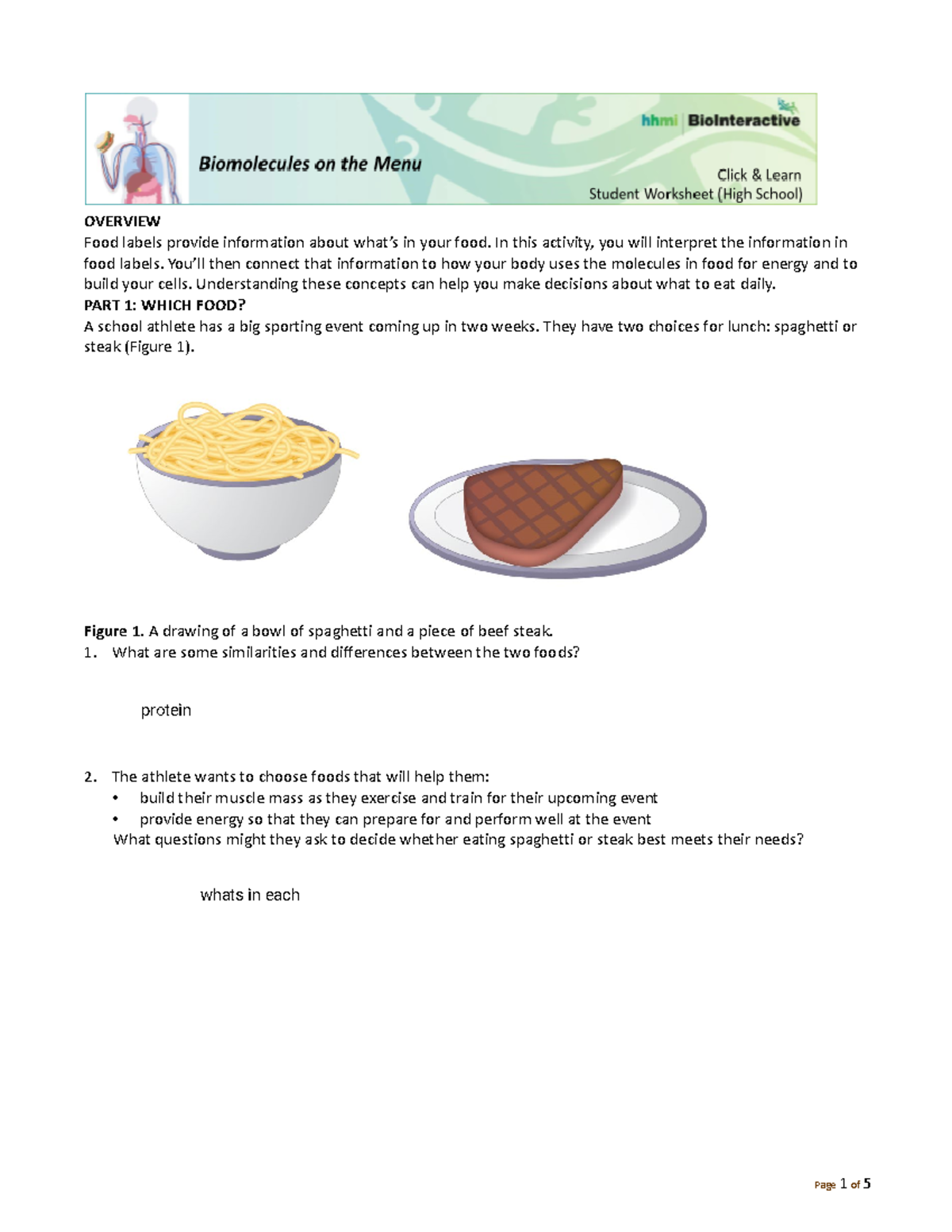 Biomolecules Menu Worksheet for Students - Kami Export (Matthew Ceban ...
