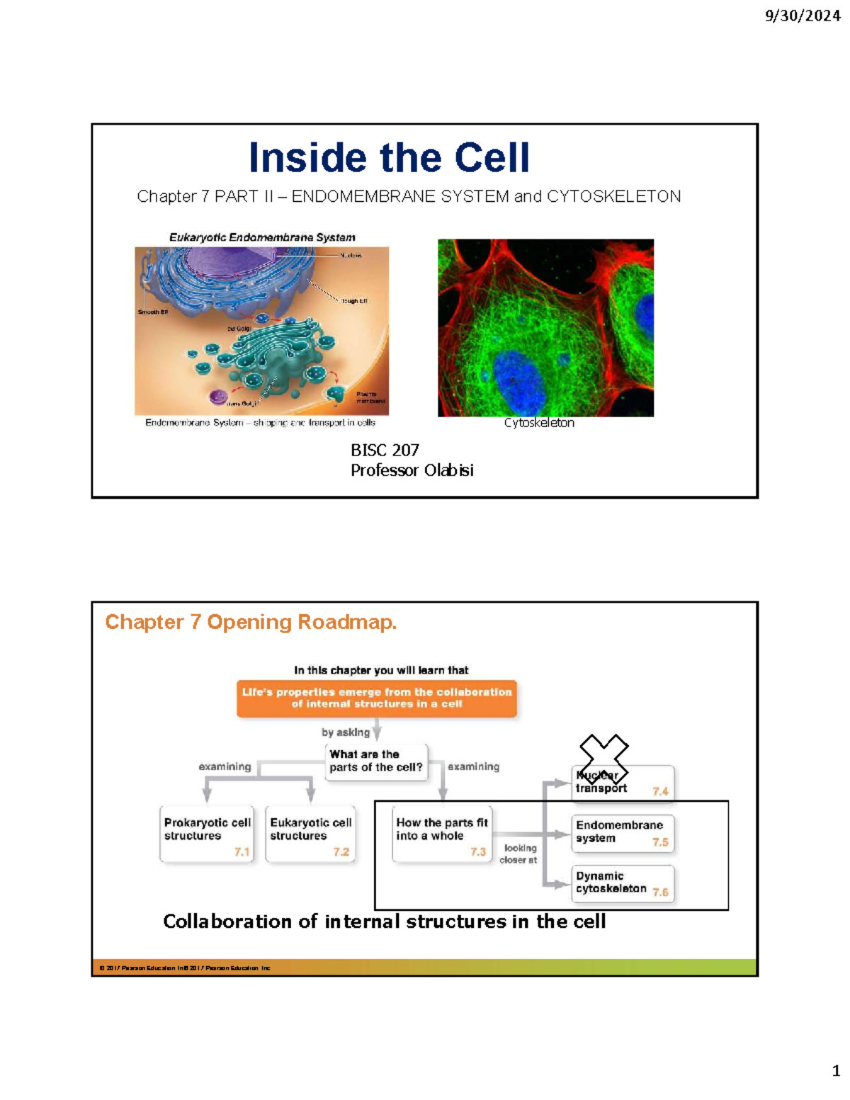 BISC 207 Lecture Notes: Endomembrane System & Cytoskeleton Overview ...