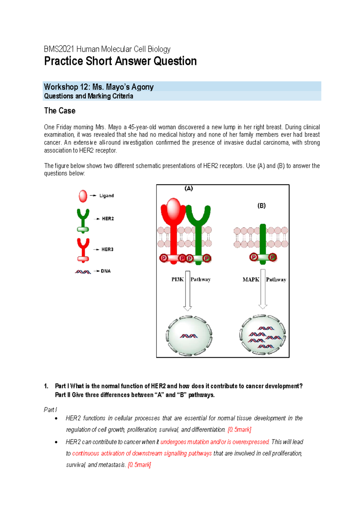 BMS2021 Human Molecular Cell Biology Workshop 12: SAQ & Model Answers ...