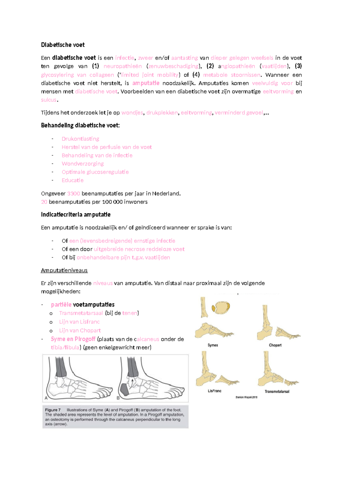 Titel: Diabetische Voet en Amputaties: Inzichtelijke Studie (Med 101 ...