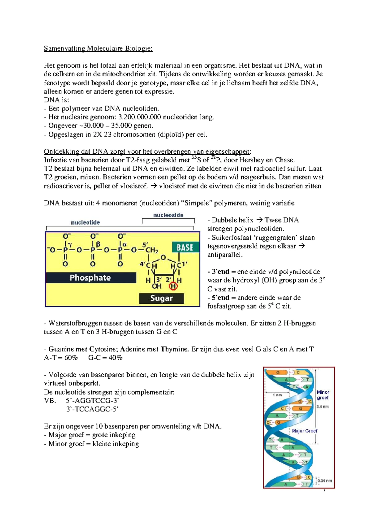 Replicatie, transcriptie, translatie & operons - REPLICATIE Prokaryote ...