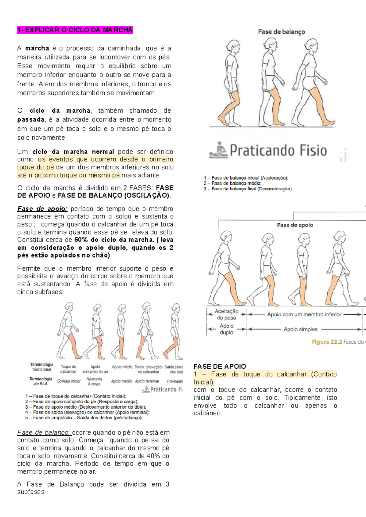 ciclo da marcha - 1- EXPLICAR O CICLO DA MARCHA A marcha é o processo ...