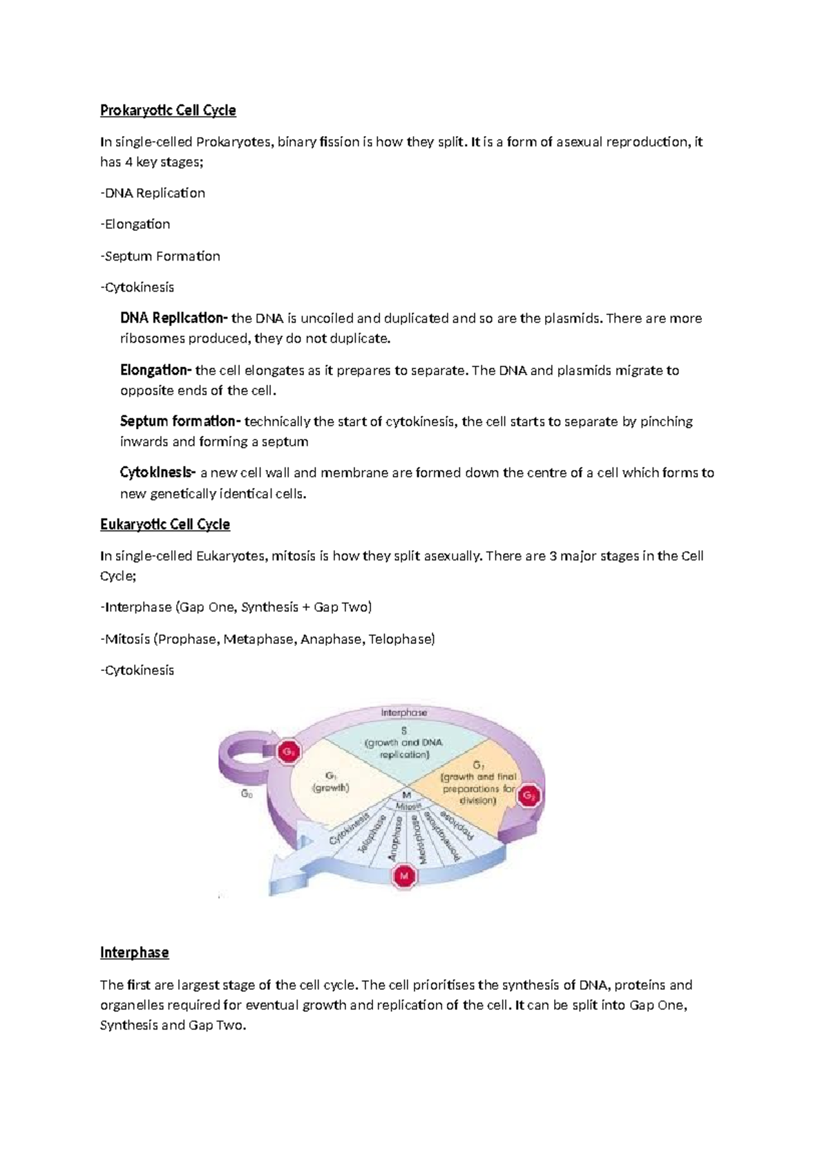 Eukaryotic Cell Cycle Notes (BIO 101) - Key Stages & Processes - Studocu
