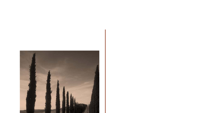 OAGN 119: Business English Assignment 3 - Office Proposal Insights ...