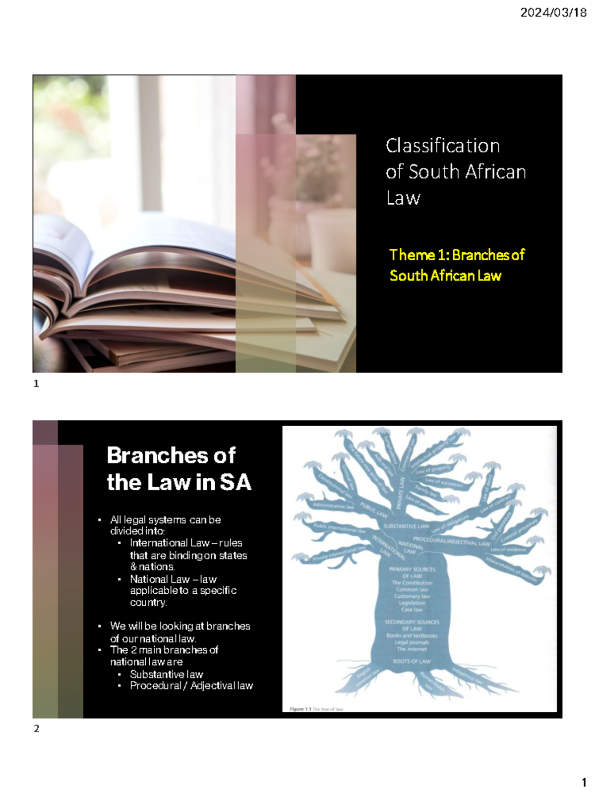 Classification of SA Law: Branches and Key Concepts Overview - Studocu