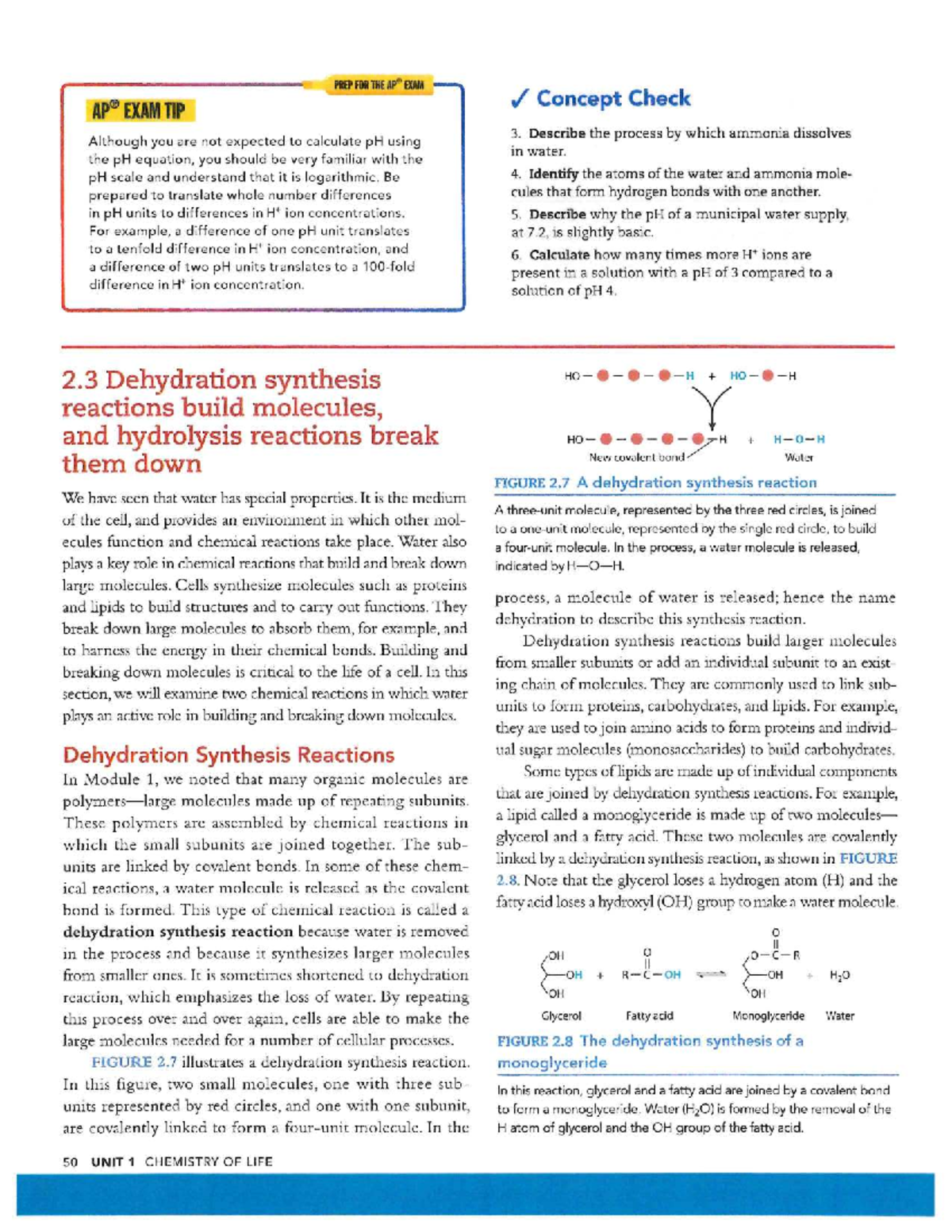 Final Exam Study Guide for CS101: Water and Life Concepts - Studocu