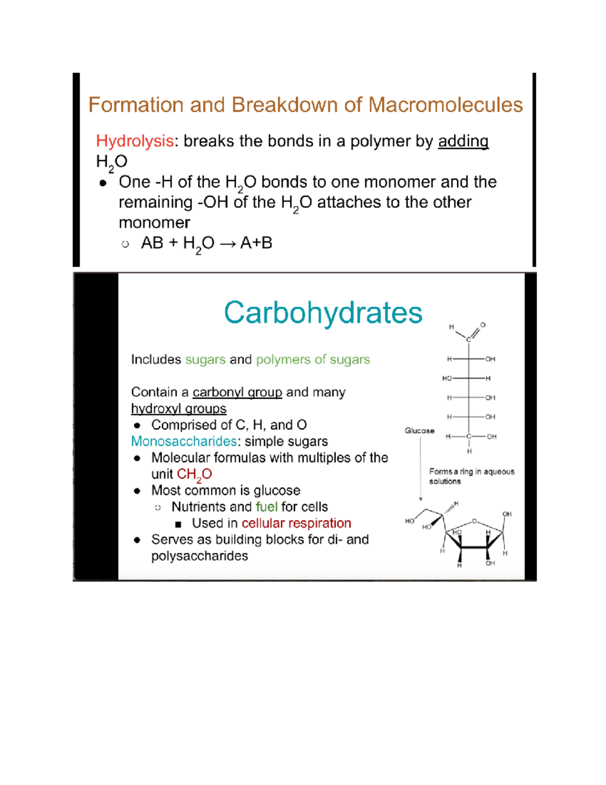 Carbohydrate Notes Study Guide for IIA Exam Preparation - Studocu