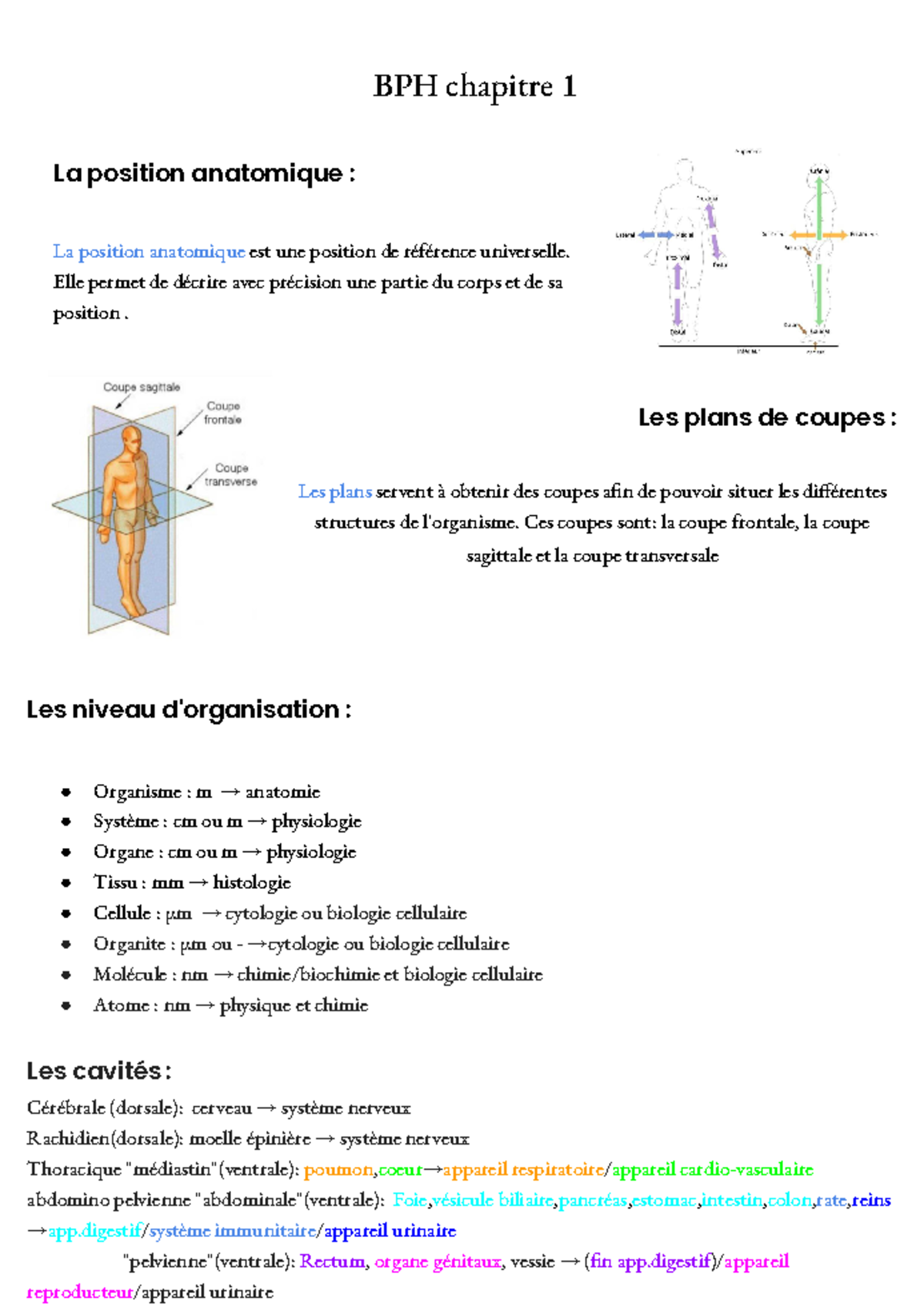 BPH Chapitre 1 - Fiche Résumée sur la Position Anatomique et Plans de ...