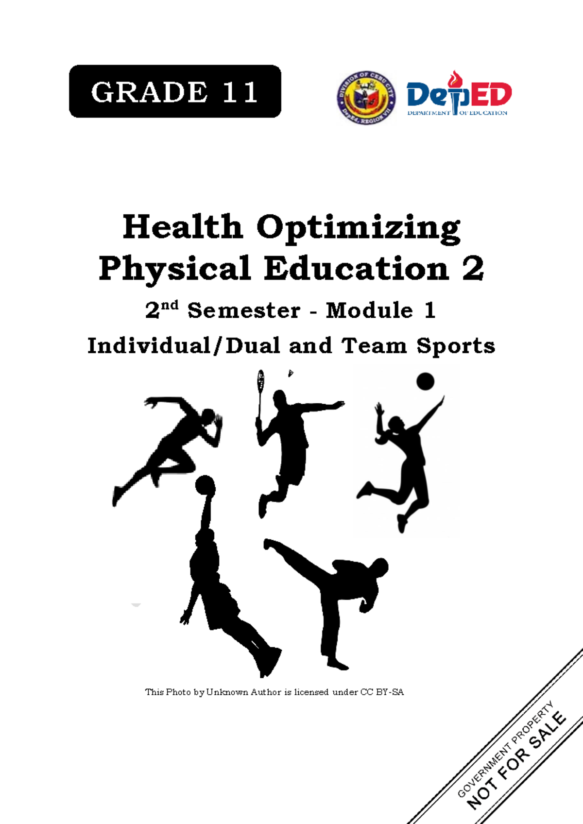 PE2 - Module 1: Summary on Individual/Dual and Team Sports for BSE ...