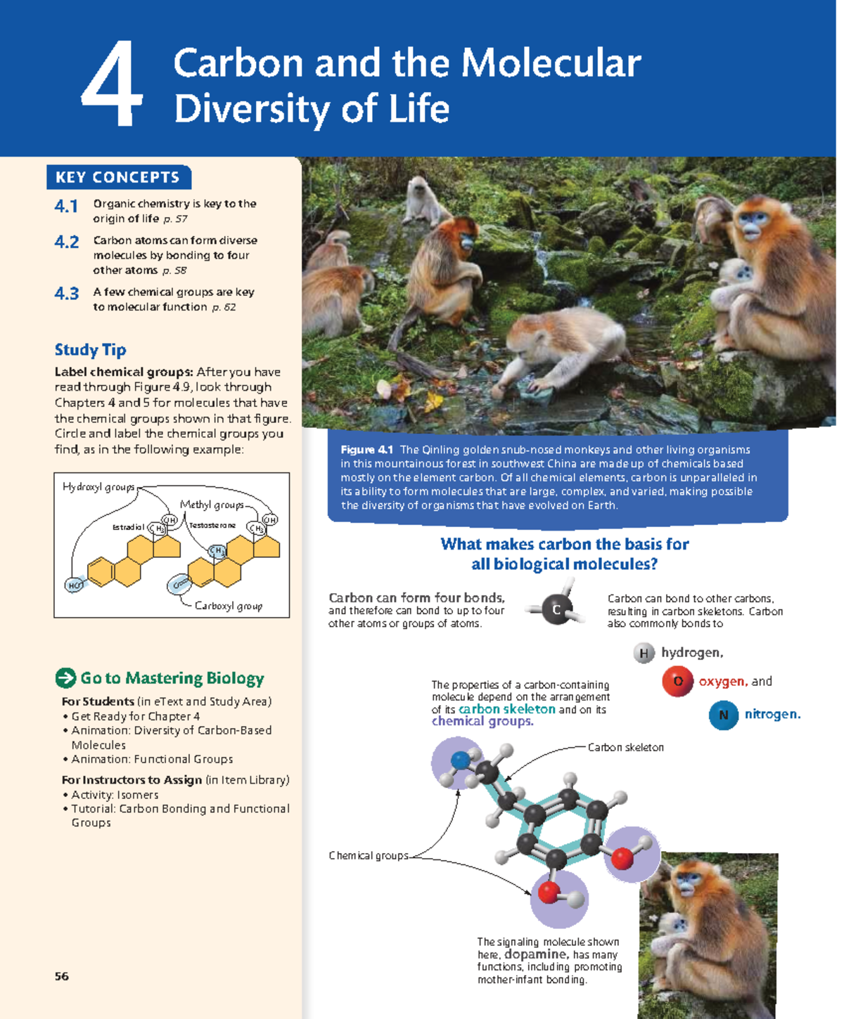 Carbon and Molecular Diversity: Understanding Organic Compounds ...