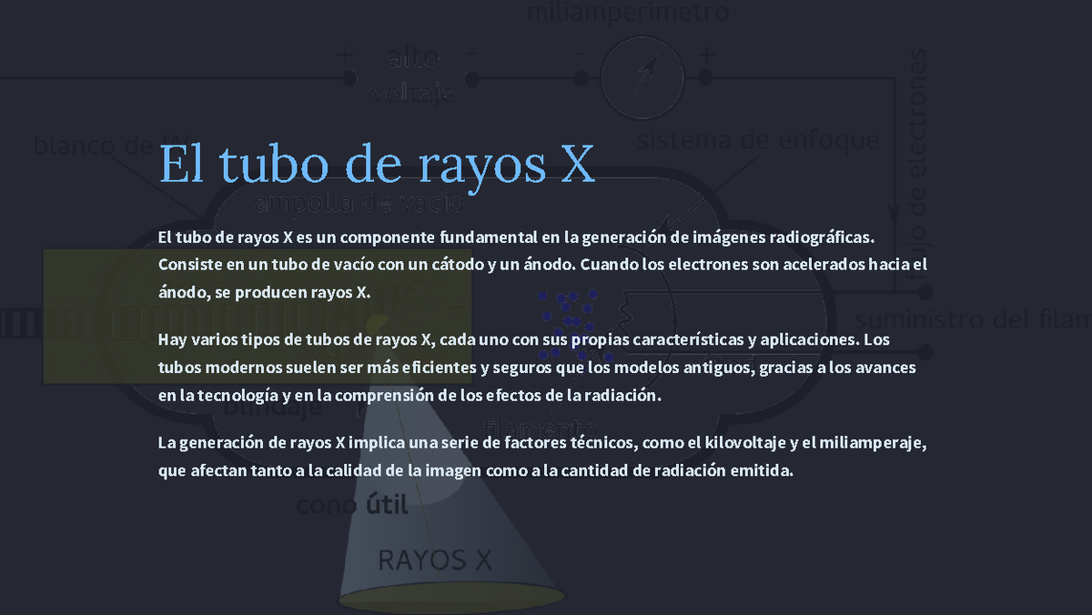 El tubo de rayos X: componentes, funcionamiento y consideraciones ...