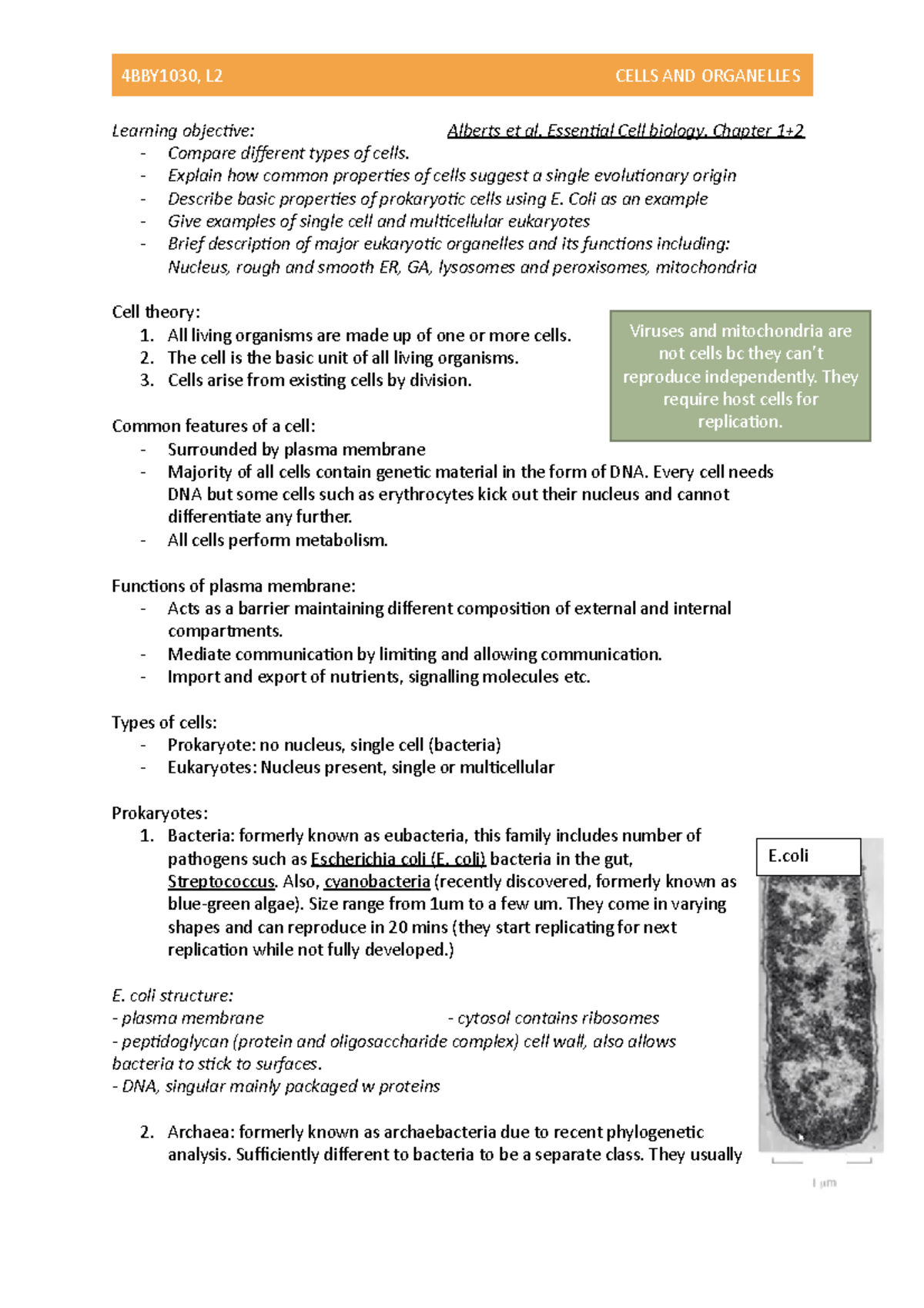 L2. Cell organelles - Lecture notes 2 - Learning objective: Alberts et ...