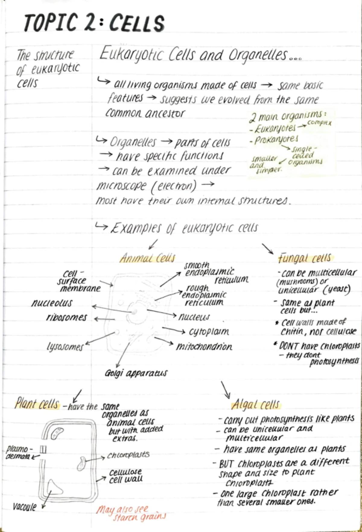 RP 10 - outline of required practical 10 for aqa biology - Required ...
