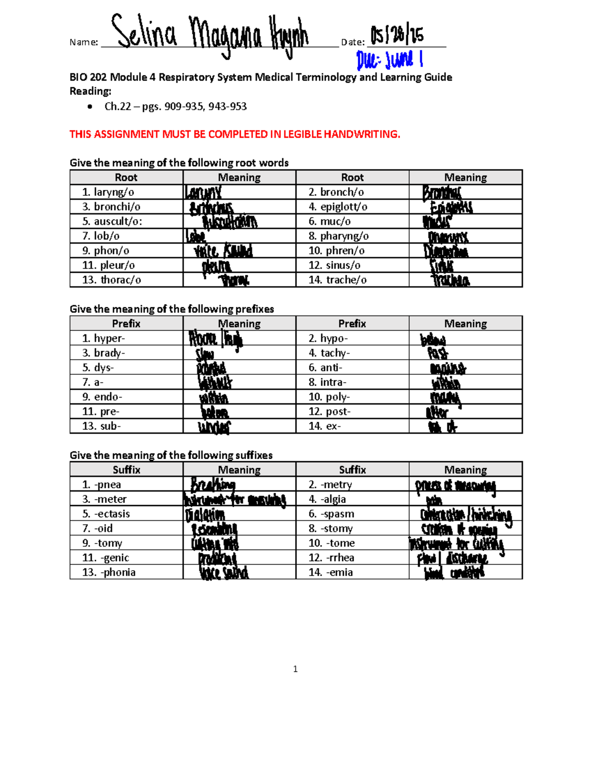 Module 4 Learning Guide: Respiratory System Terminology & Concepts (BIO ...