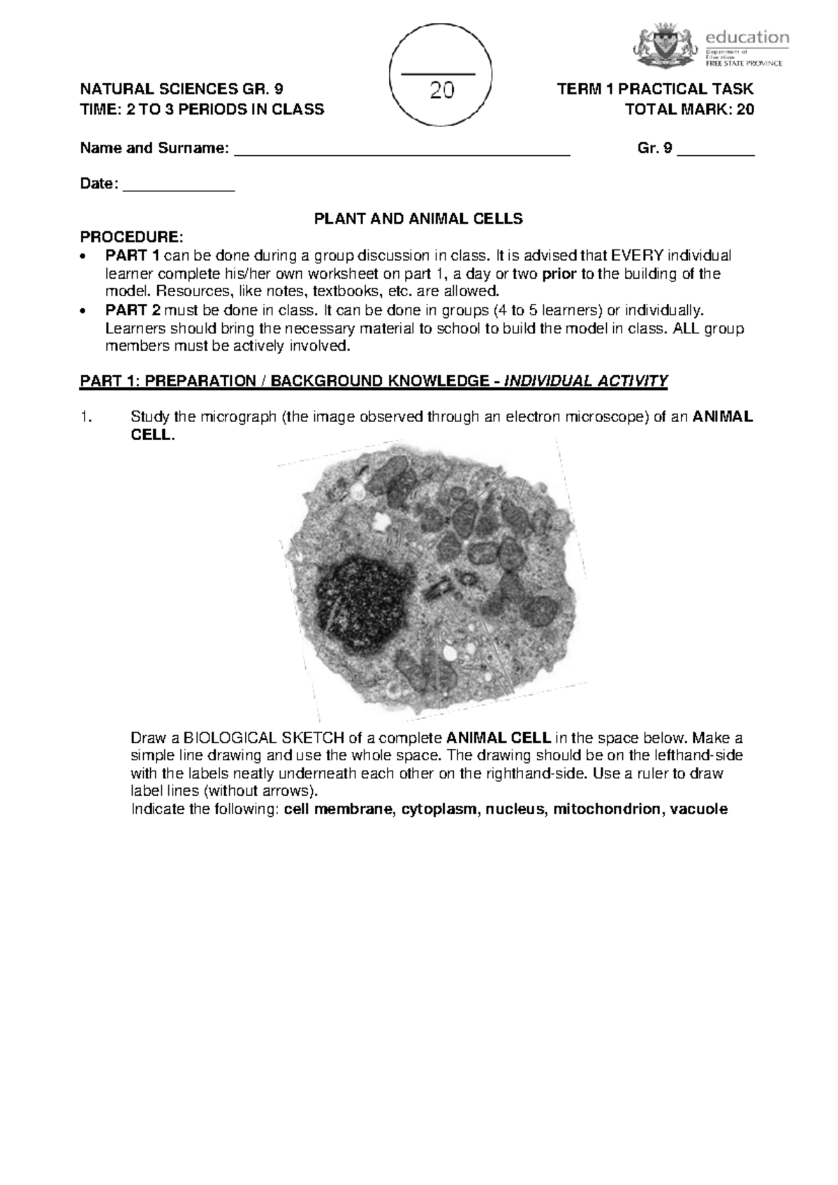 NS Gr9 Term 1 Practical Task: Plant & Animal Cell Model 2023 - Studocu