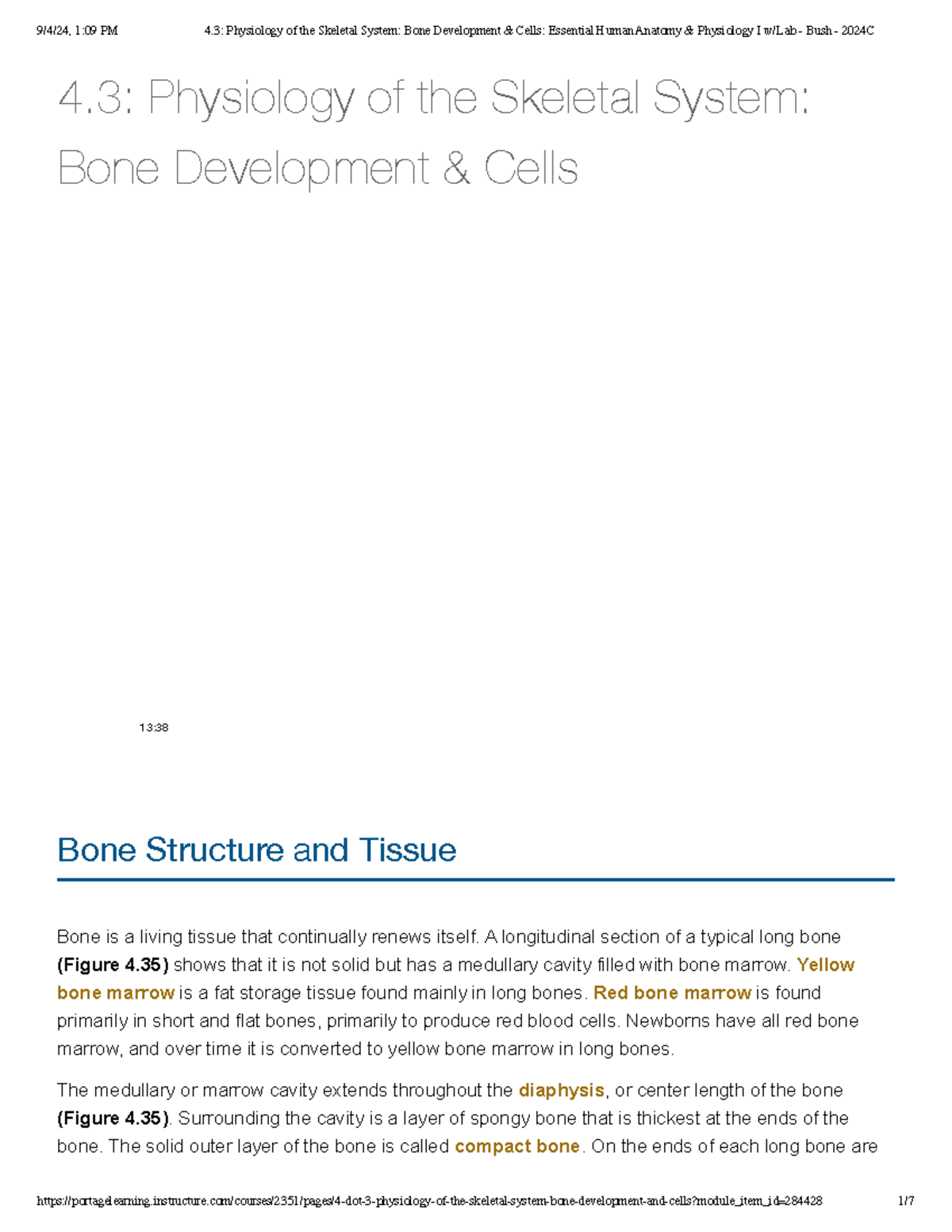 4.3 Physiology of the Skeletal System Bone Development & Cells ...