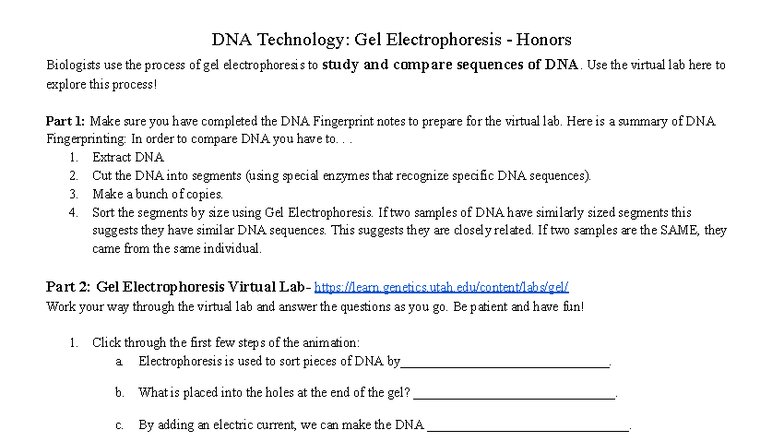 Honors Biol: Gel Electrophoresis Virtual Lab Guide & Activities - Studocu