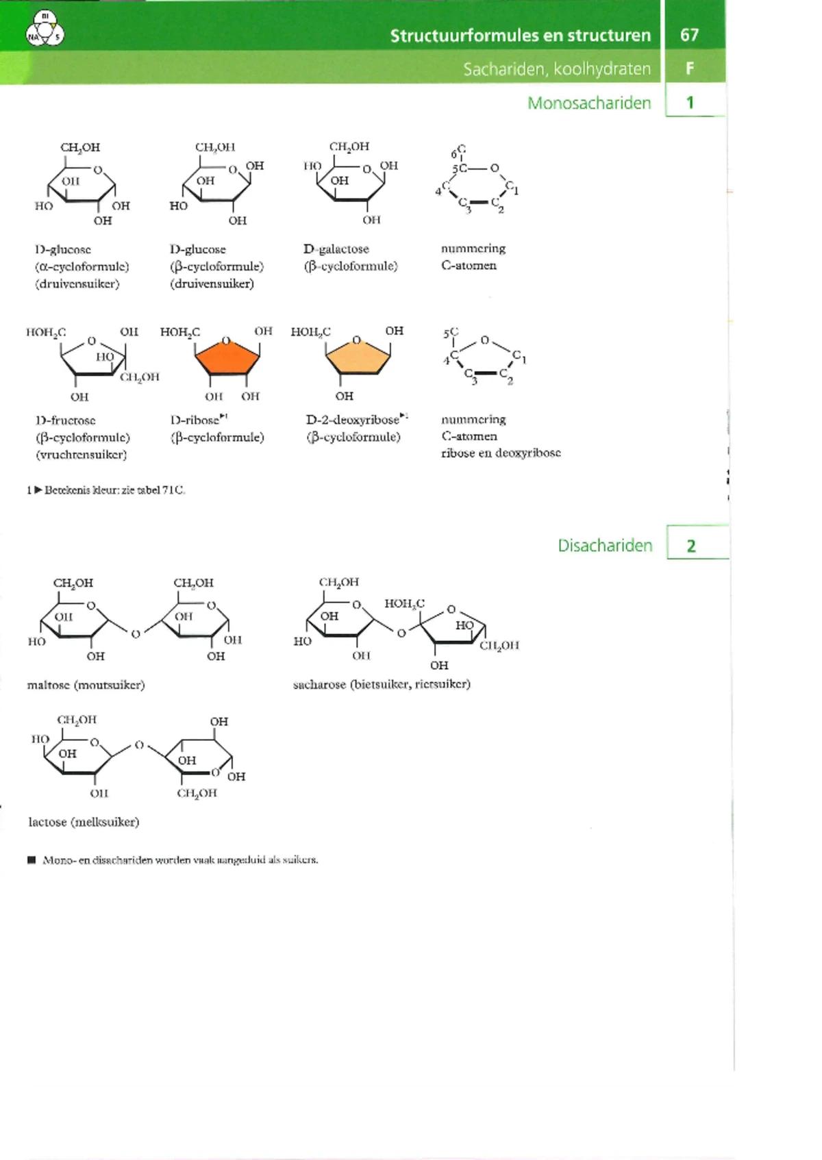 Cheatsheet binastabellen - Cheatsheet binastabellen Zenuwstelsel binas ...
