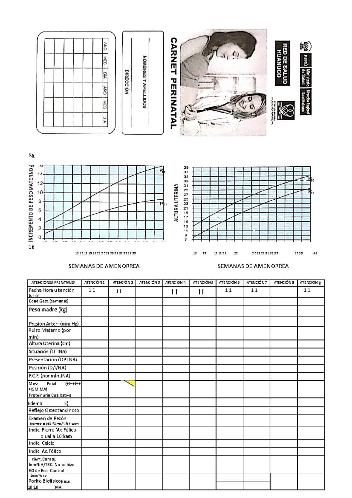 Registro Perinatal y Atención Prenatal Detallada - Carnet Perinatal ...