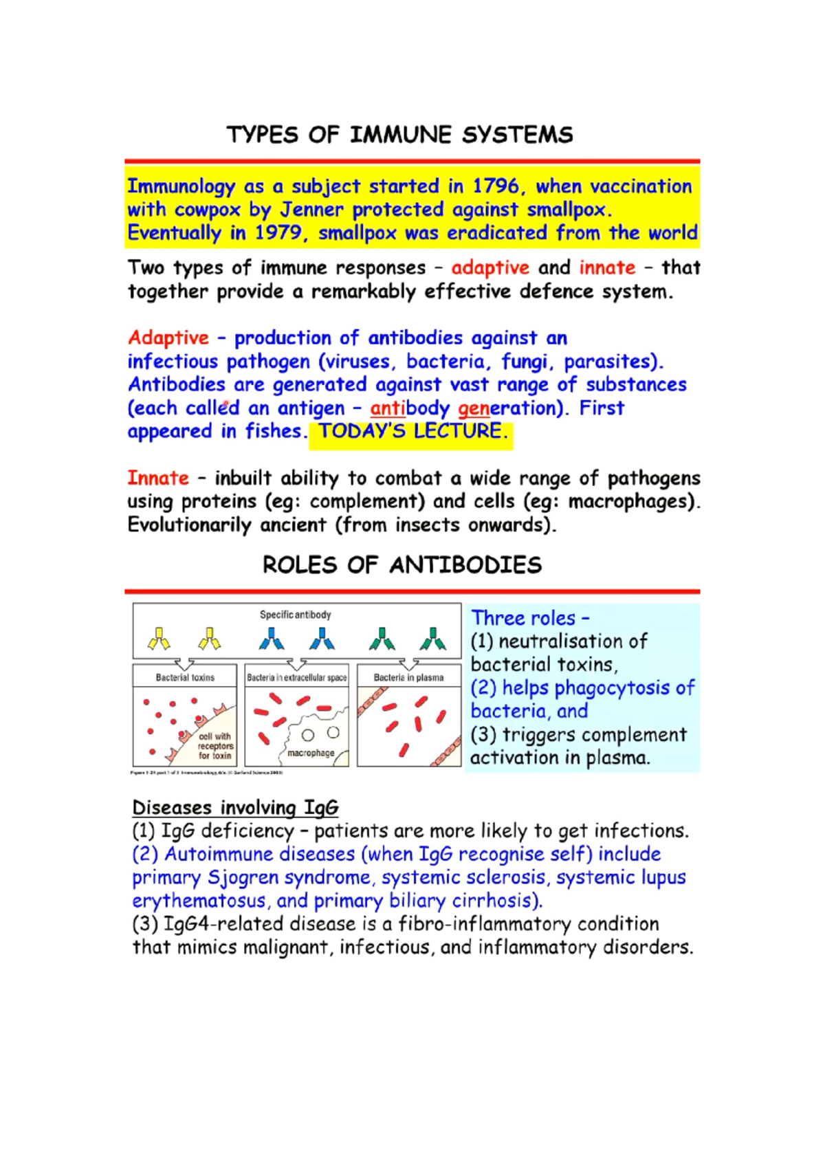 Immunology 101: Types of Immune Systems and Antibody Functions - Studocu