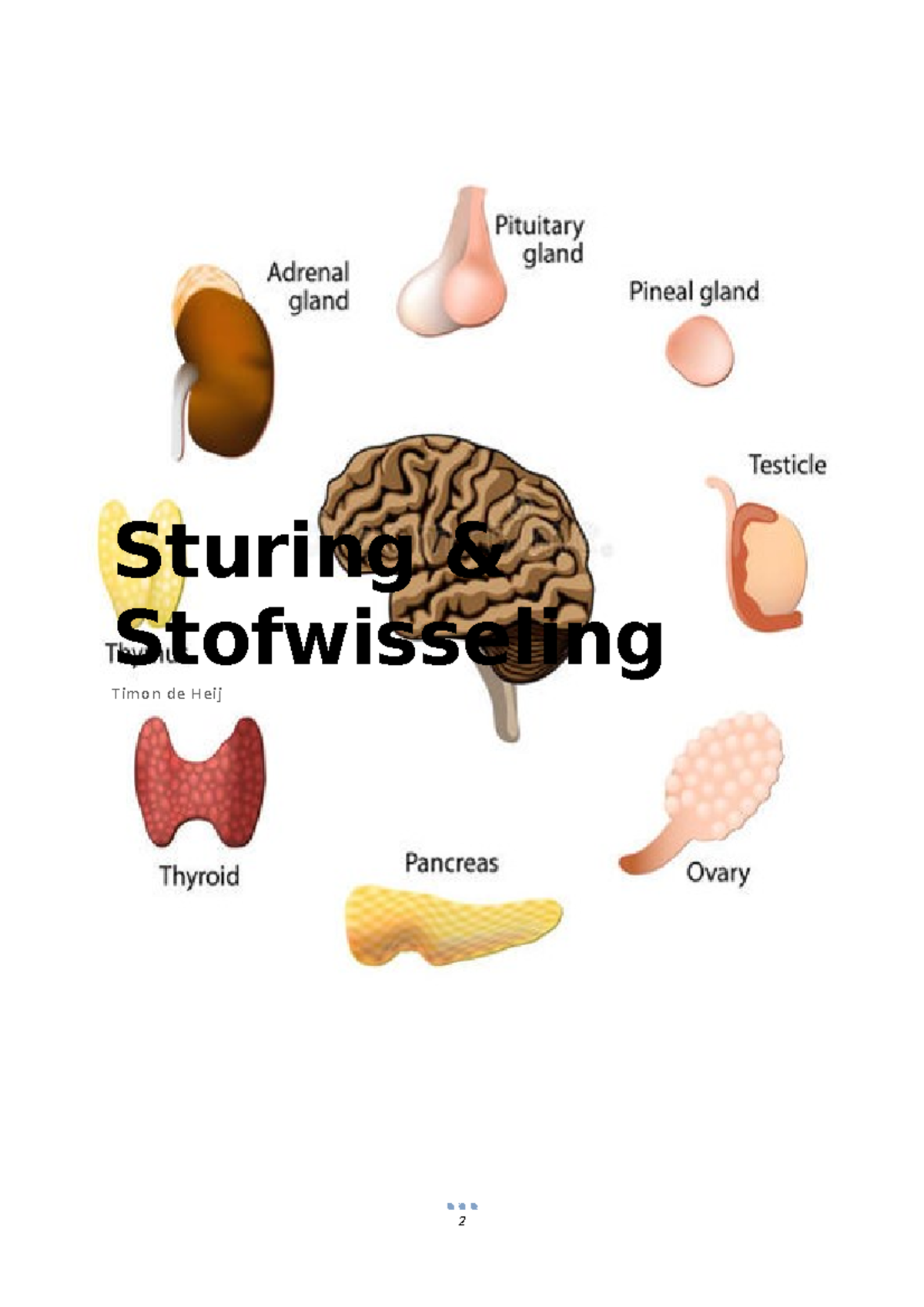 Samenvatting Sturing en Stofwisseling in Menselijke Fysiologie ...