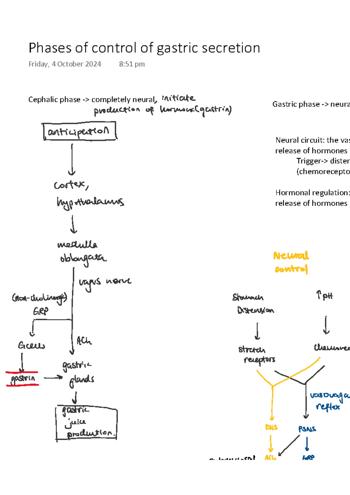 Phases of control of gastric secretion - Cephalic phase - > completely ...