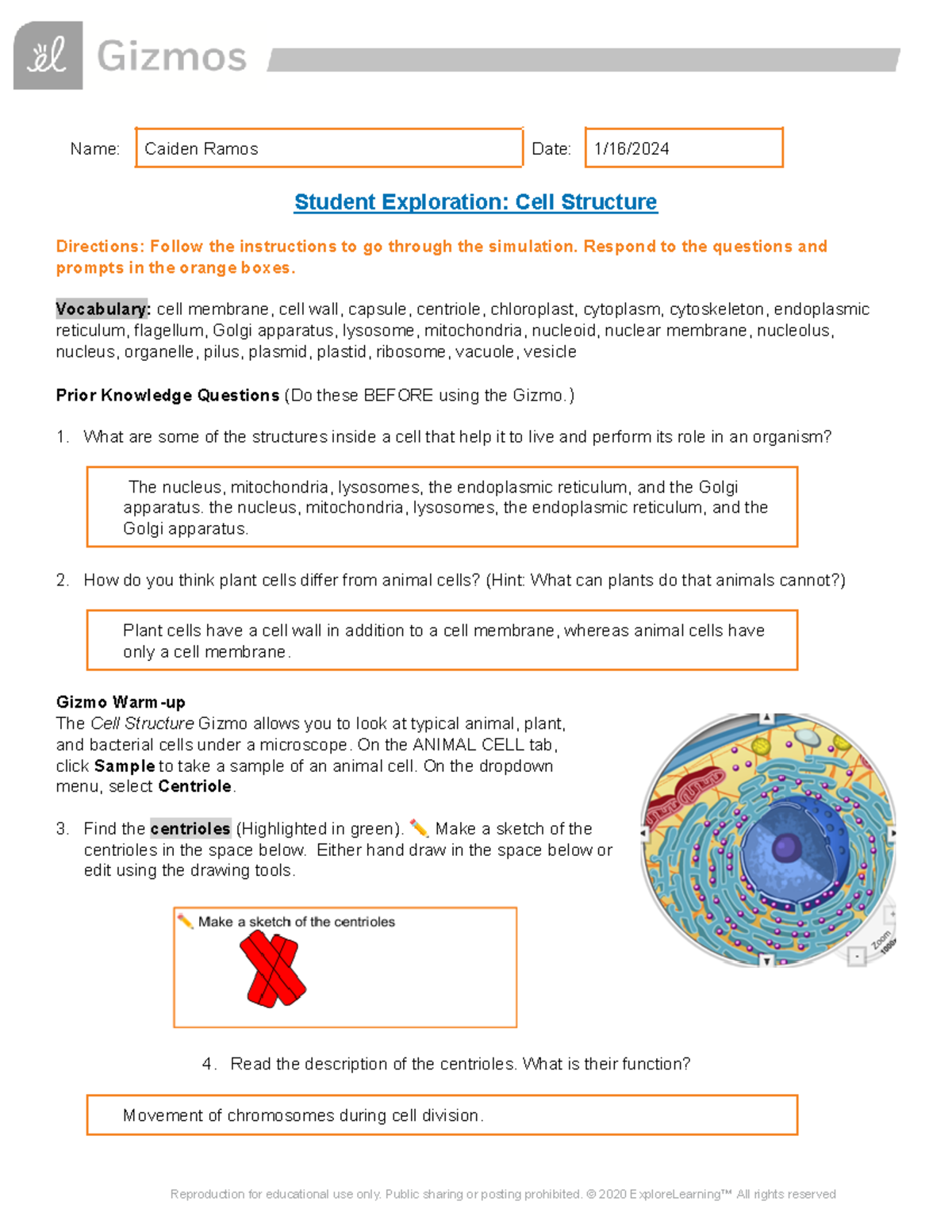 Cell Structure Exploration: Gizmo Guide for Biology 101 - Studocu