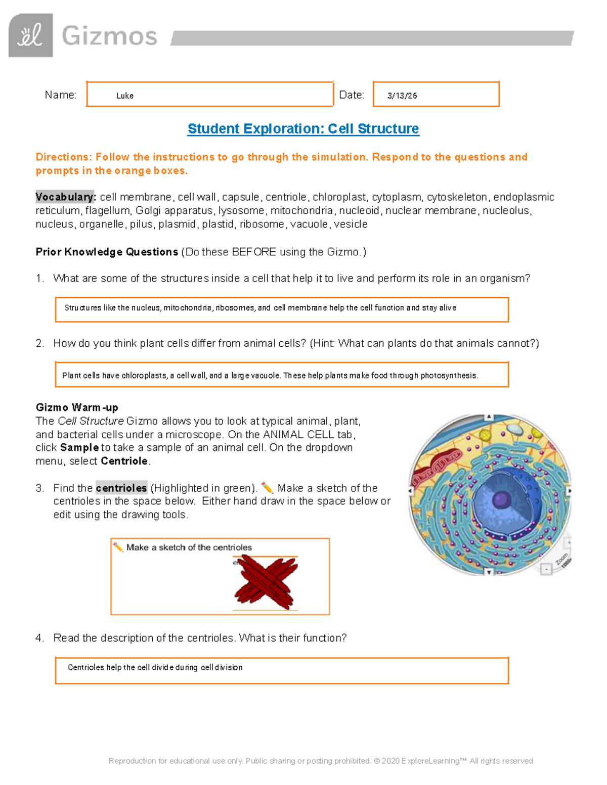 Cell Structure Exploration: Gizmo Worksheet (25 26) - Studocu