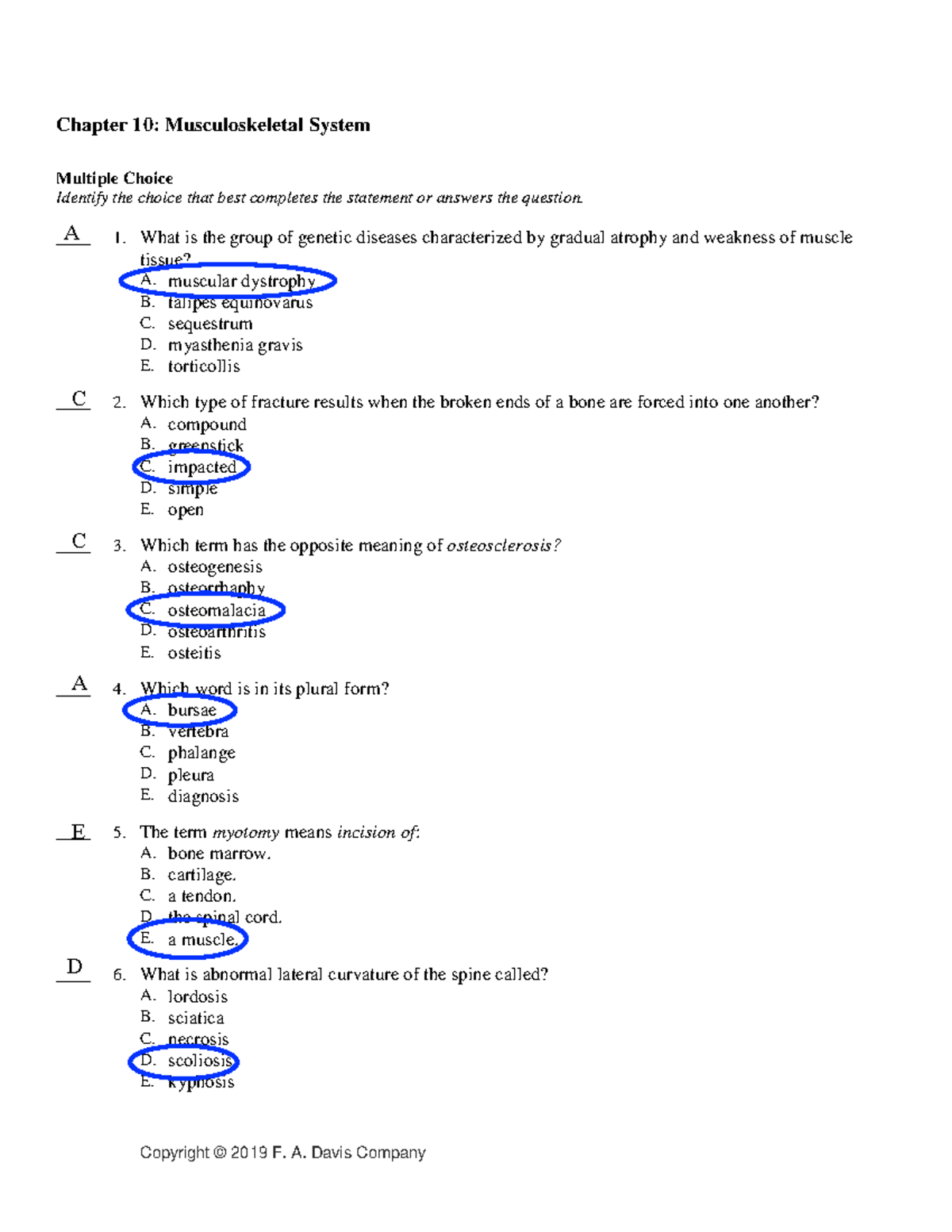 Chapter 10: Musculoskeletal System MCQs for Medical Terminology - Studocu