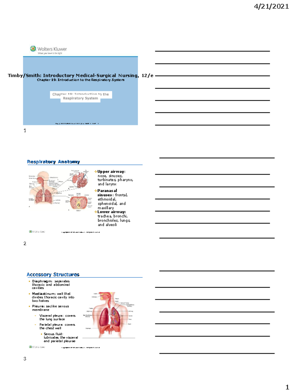 Chapter 19: Intro to Respiratory System - Anatomy & Physiology Notes ...