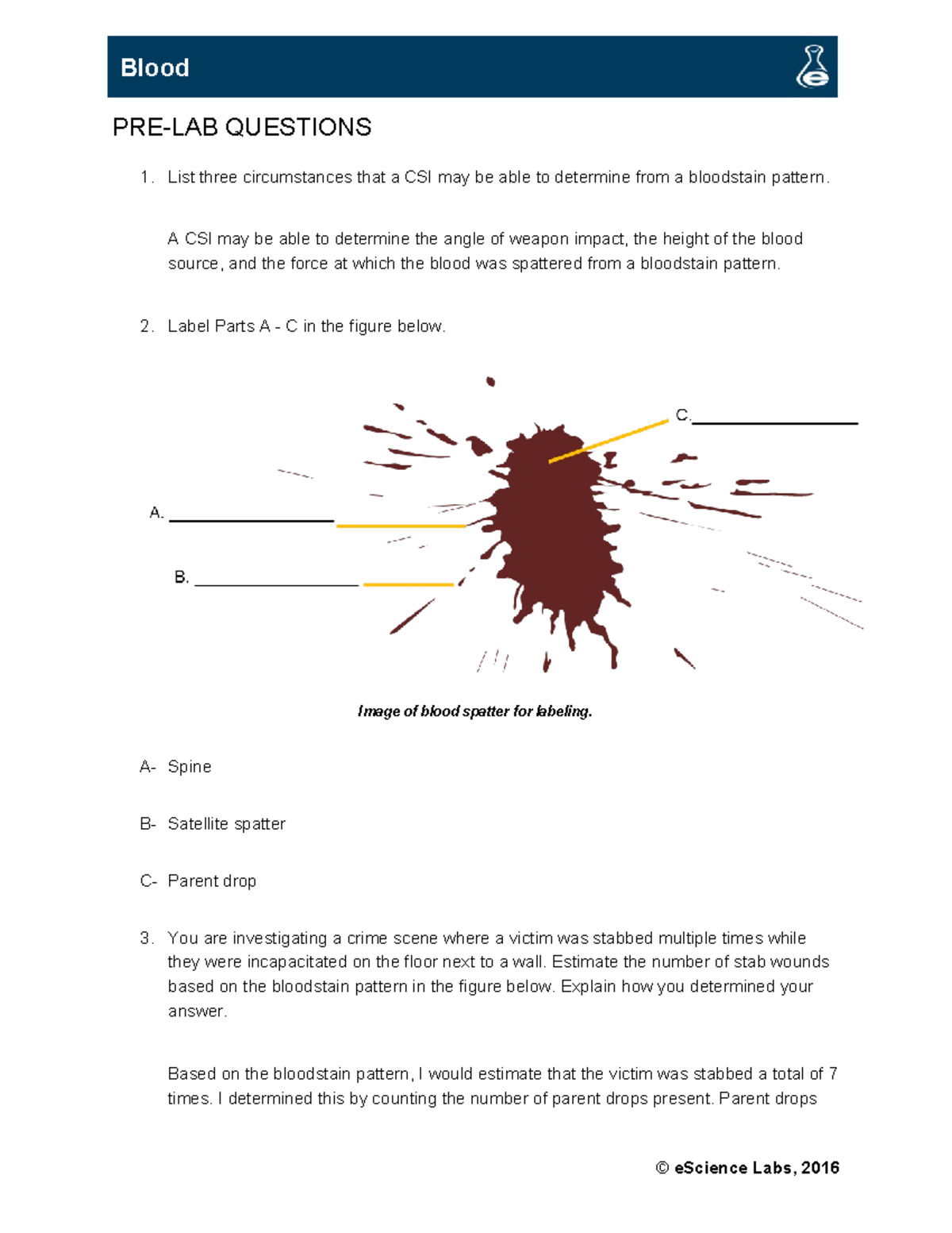 Bloodstain Analysis Lab Report - Forensic Science 101 - Studocu