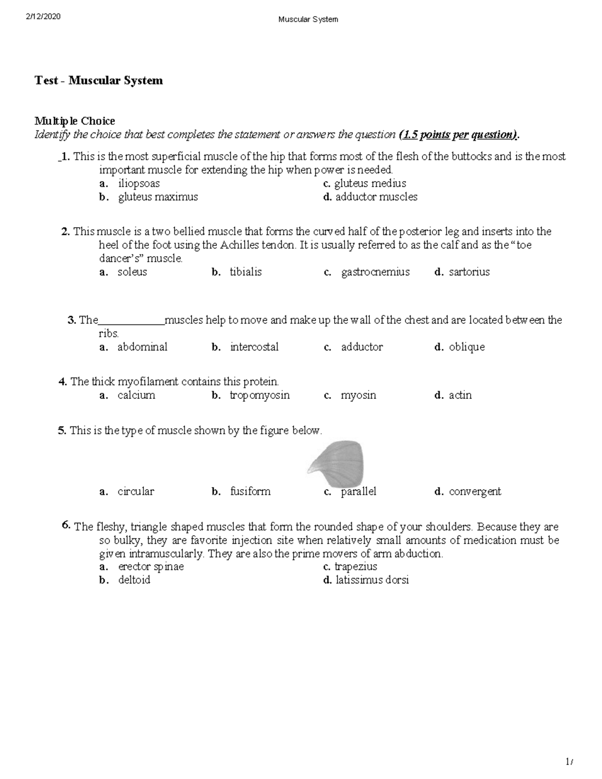 Muscle system quiz-converted - Copy - 2/12/2020 Muscular System Test ...