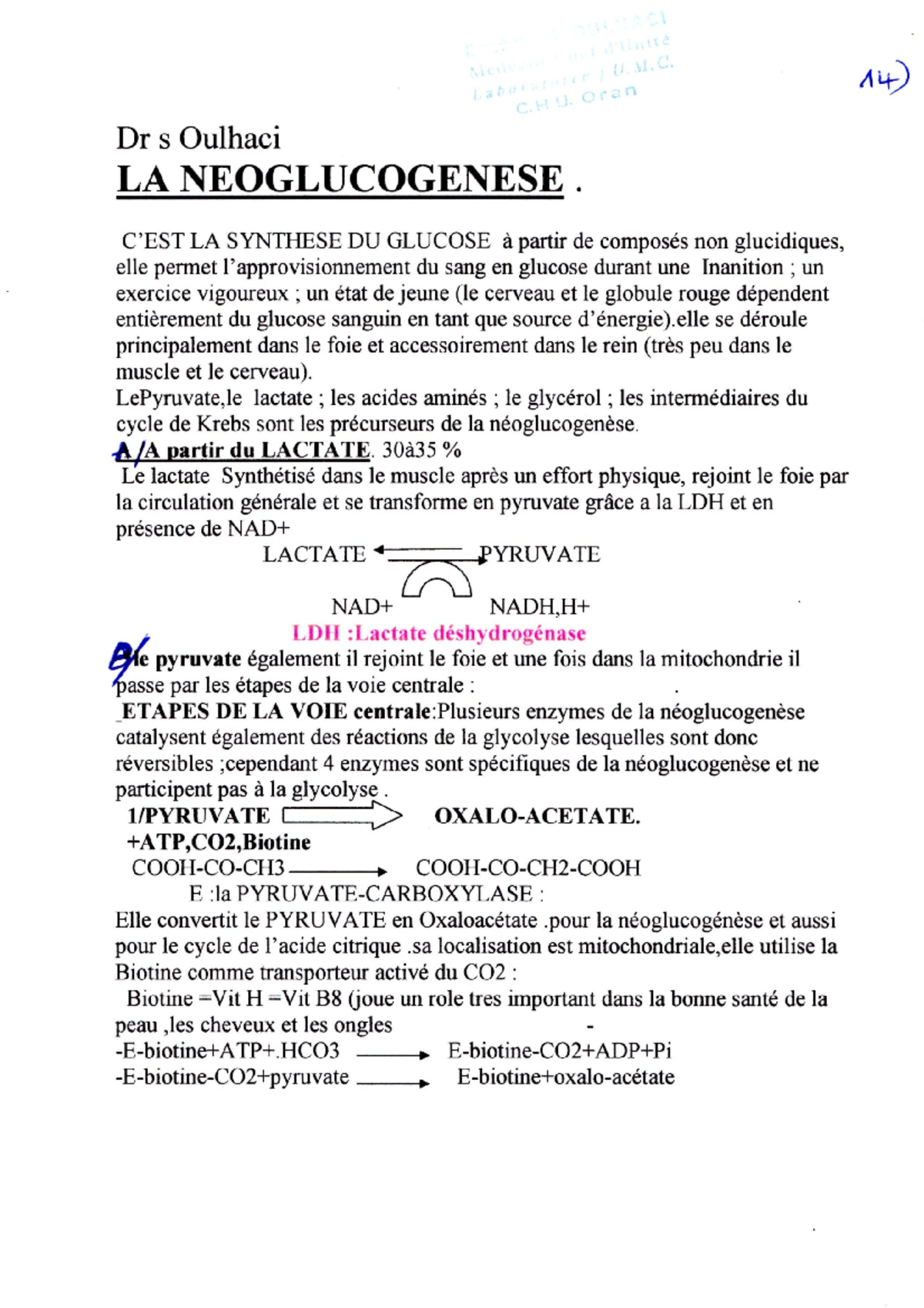 C7. Néoglucogenèse - Notes de cours 1 - biochimie analyse - Studocu