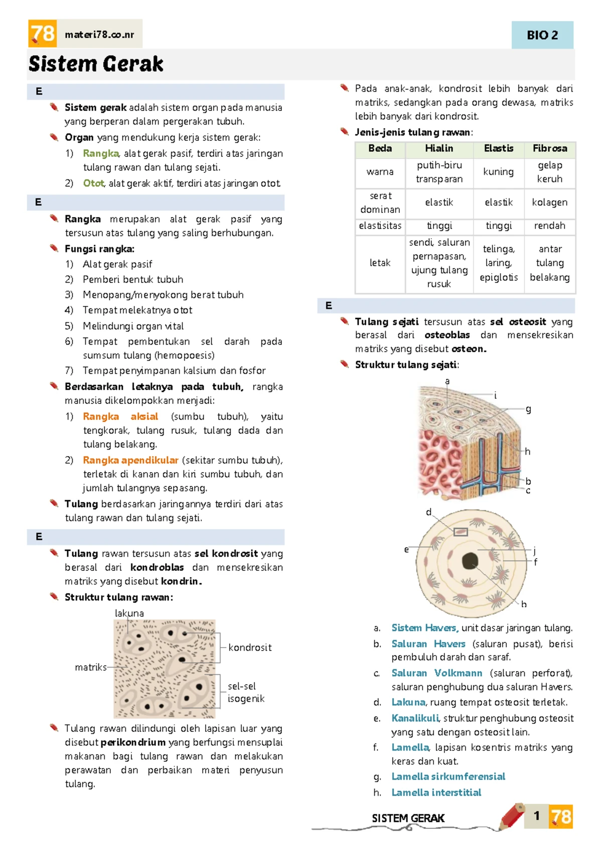 BIO 3 - Ringkasan Catatan Sistem Saraf dan Mekanisme Penghantaran ...